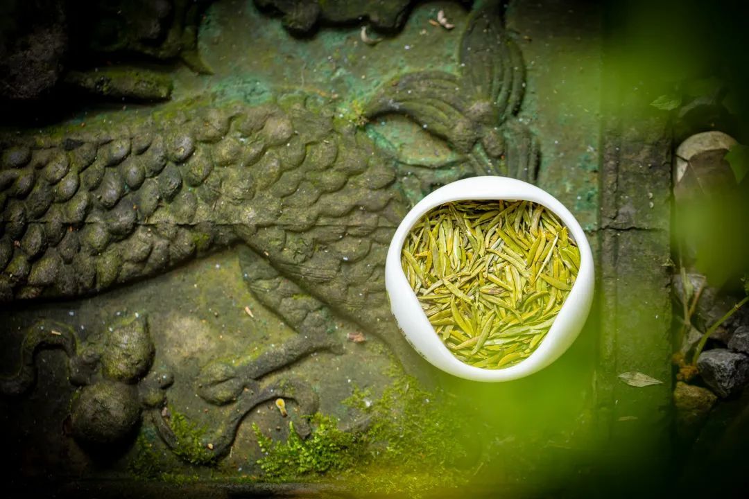 The new "member" of China Tea Green Tea - Emei Xueya, gives you a new ...