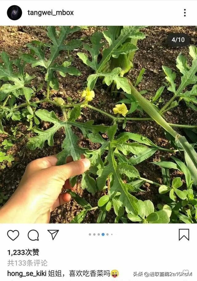 45-year-old Tang Wei, the manor-style mansion is popular, grows ...