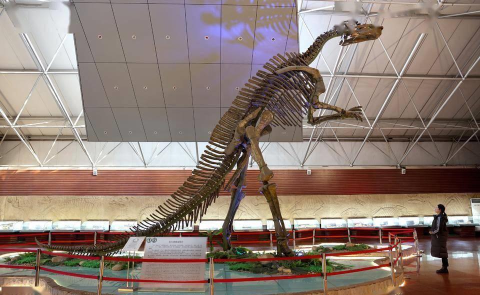 The mystery of dinosaur fossils: How do billion-year-old guardians ...