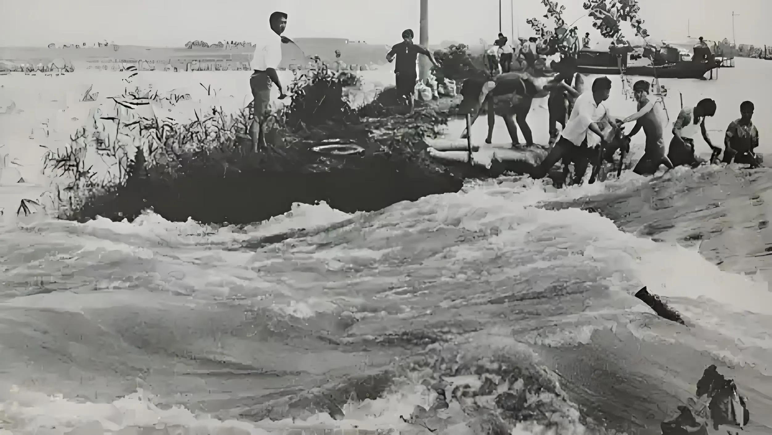 The 1975 Flood: The Truth and Lessons from the Great Wave of History ...