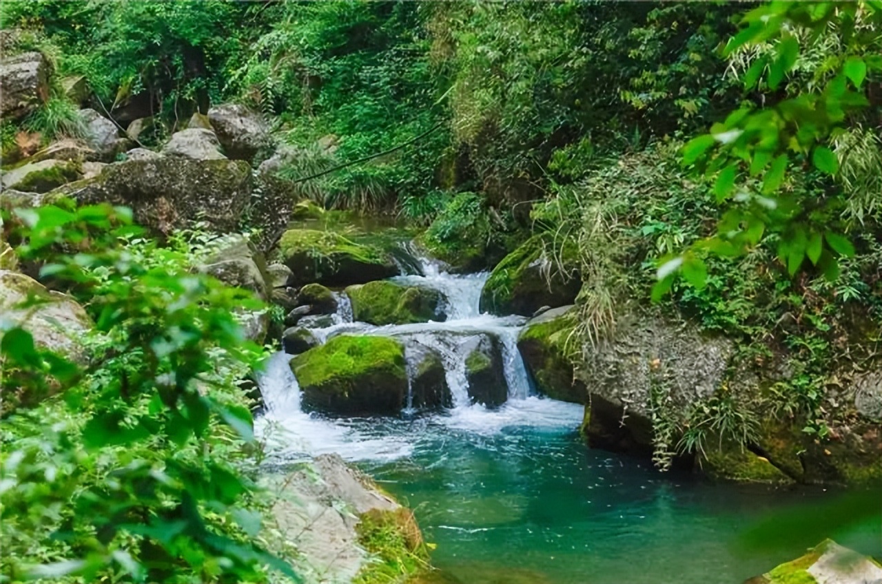 Great place in spring!1h direct access to "Natural Drunken Oxygen Land ...