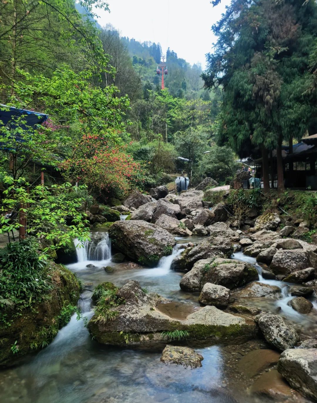 Great place in spring!1h direct access to "Natural Drunken Oxygen Land ...