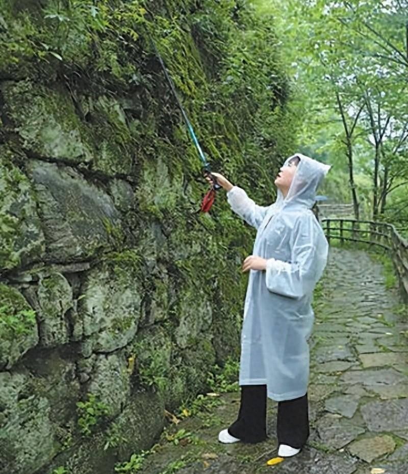 5 traces of repairs on a section of city wall (inheritance) - iMedia