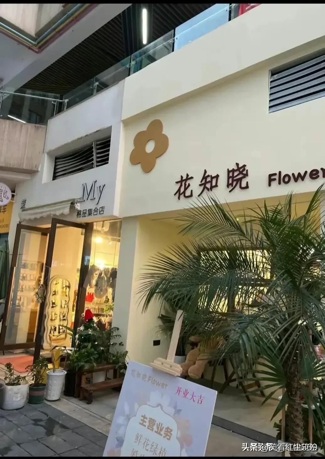 The 21-year-old fat cat jumped into the river, Tan Zhu himself made a ...