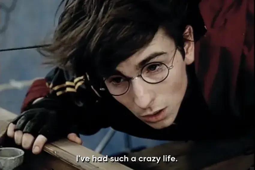 Harry Potter was paralyzed for life due to an accidental performance ...