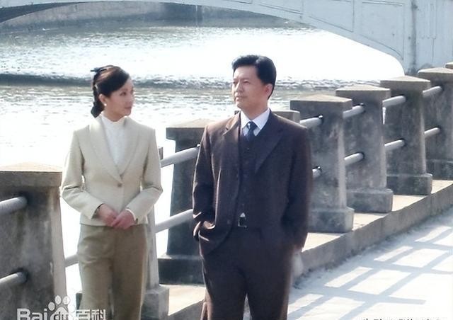 Spy drama "Mysterious Female Spy": starring Kristy Yang, He Zhengjun ...