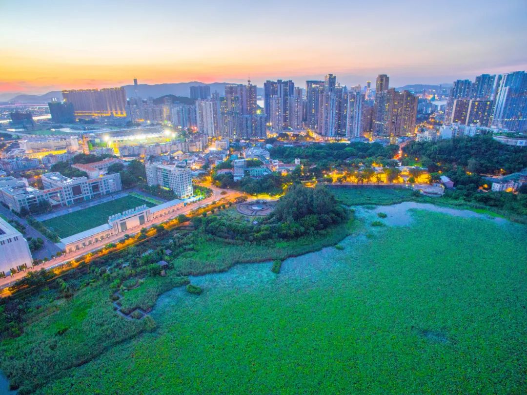 Walking with green │ Feel the beauty of Cotai Ecological Reserve - iNEWS