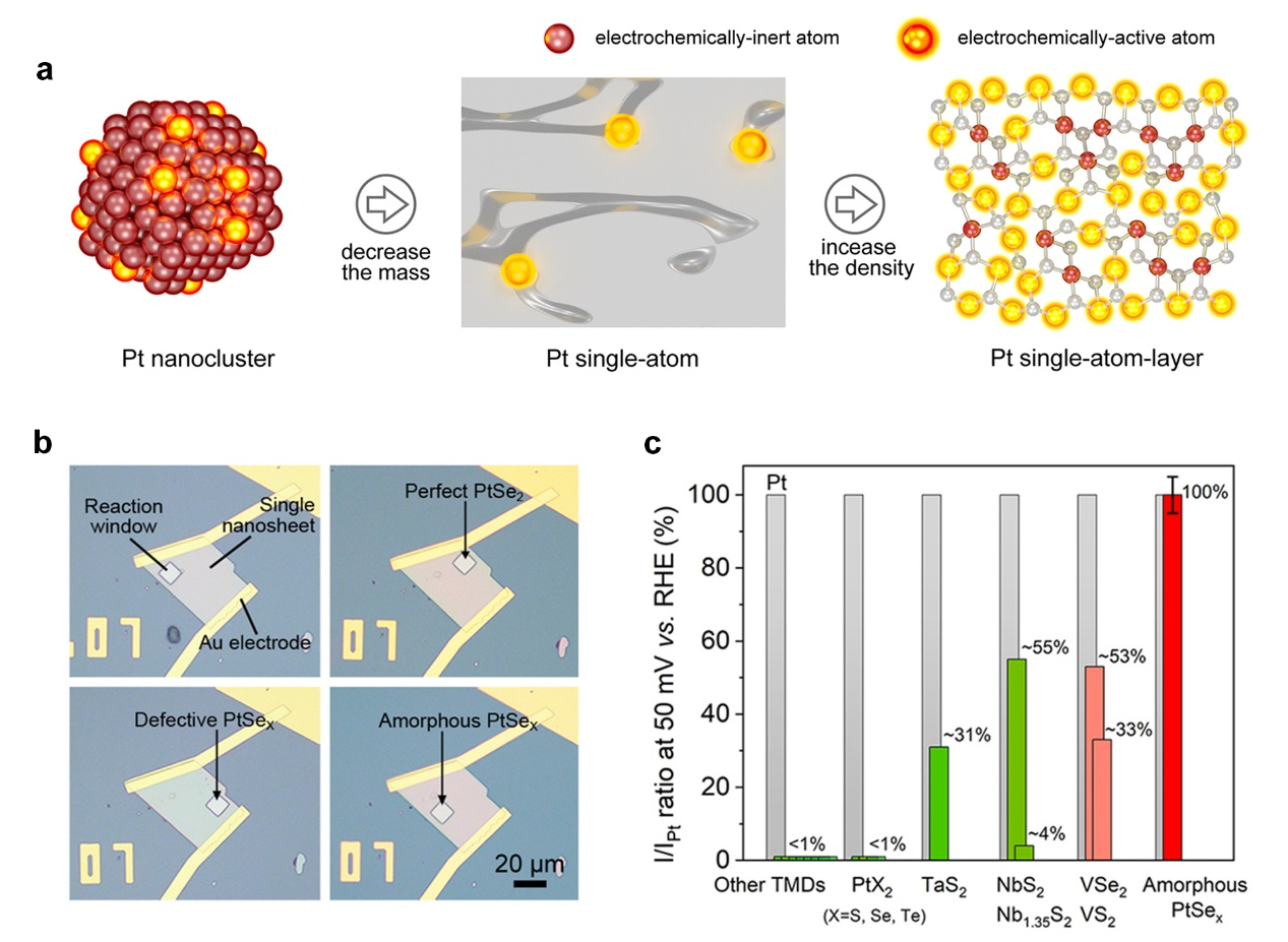 He Yongmin's research group has made important progress in the research ...