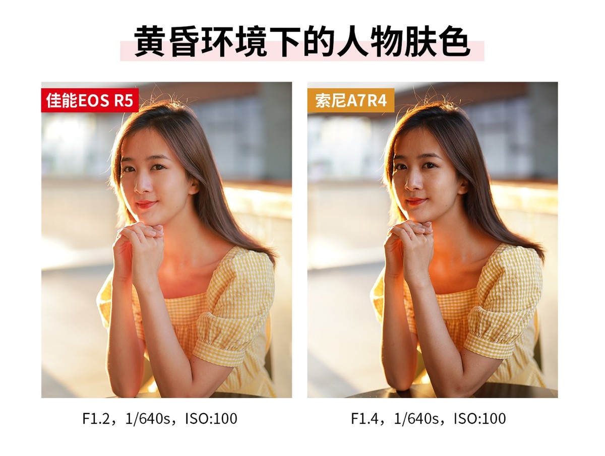 佳能EOS R5與索尼A7R4 環境人像選哪個？ - 頭條匯
