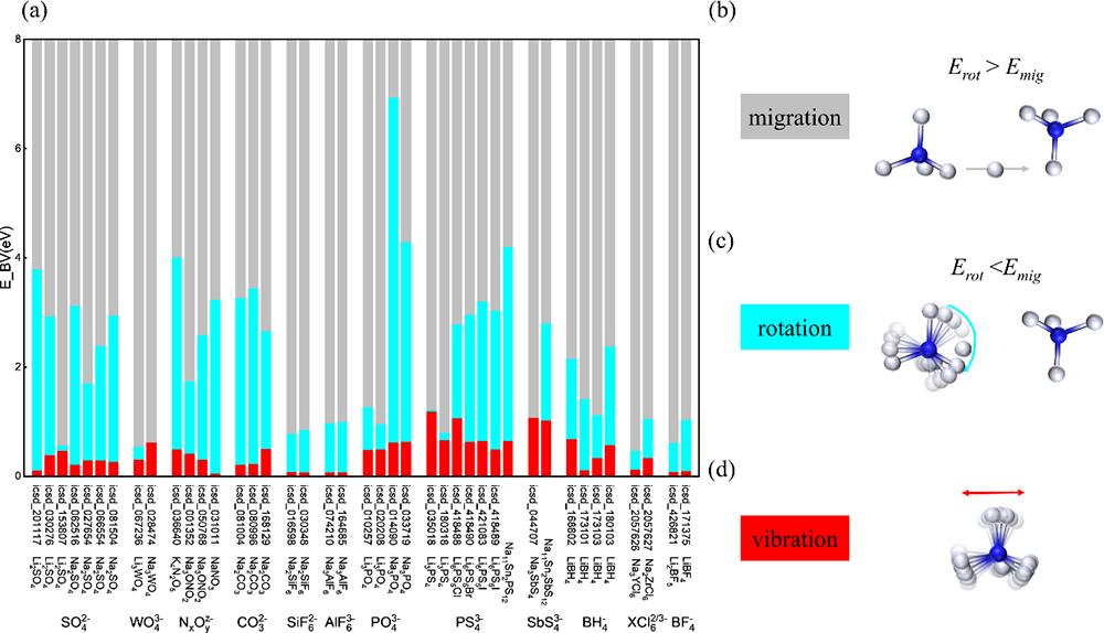 A new perspective on the promotion of cation transport by anionic ...