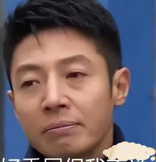 From CCTV host to heart arsonist, Sa Beining, who has been hiding for ...