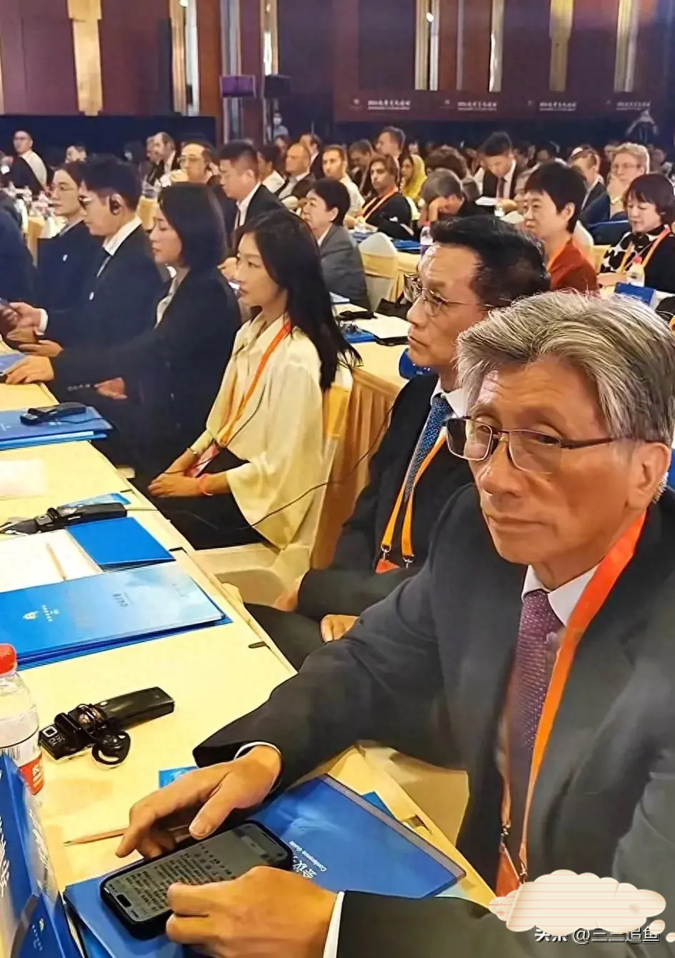 On this night in Beijing, Zhou Dongyu looked too young, Ma Li looked ...