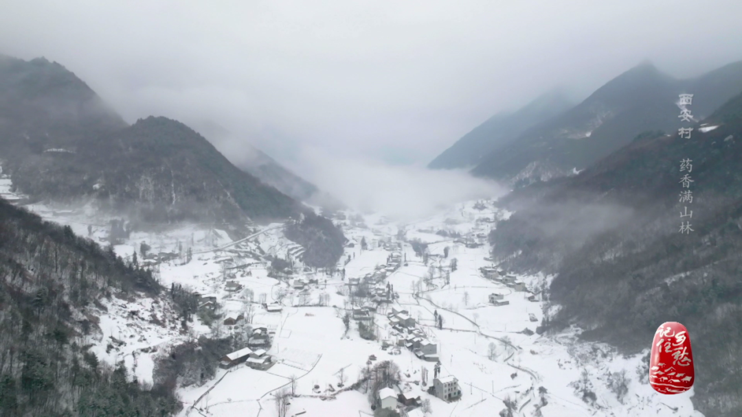Xi'an Village at the foot of Bashan Mountain has been with the "sea of ...