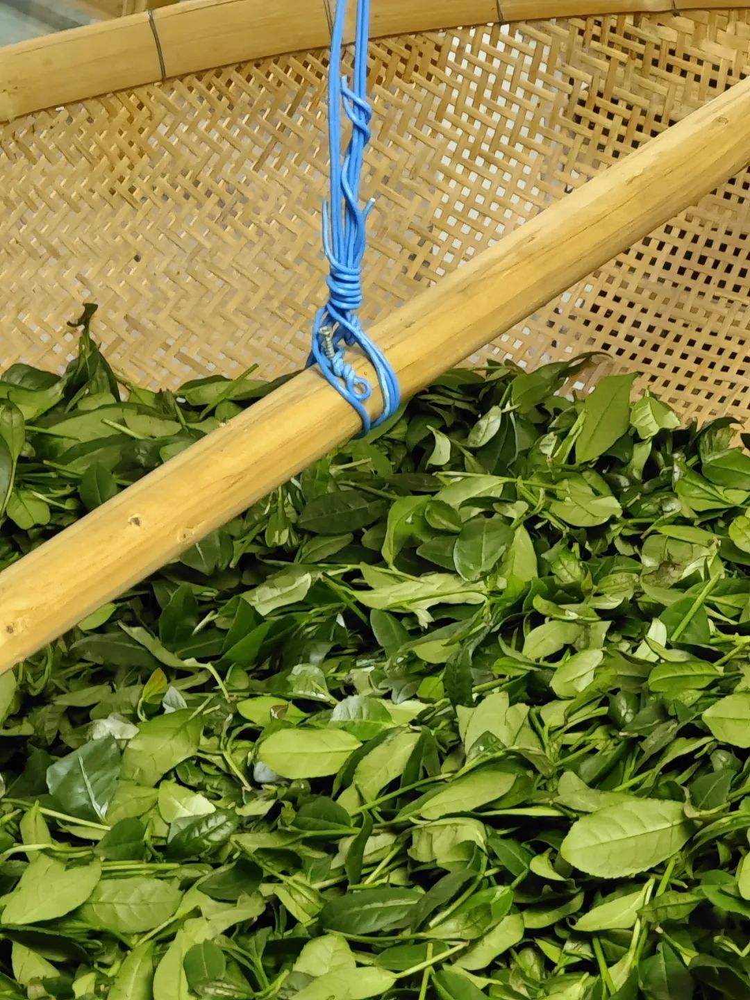 How do we define the "good" of good tea? - iMedia