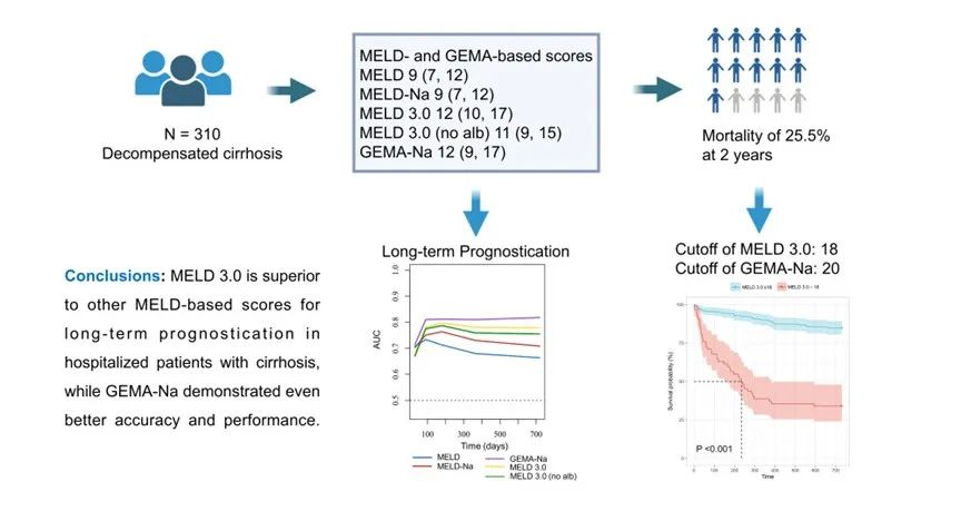 MELD 3.0/GEMA-Na: a new prognostic tool for predicting long-term ...
