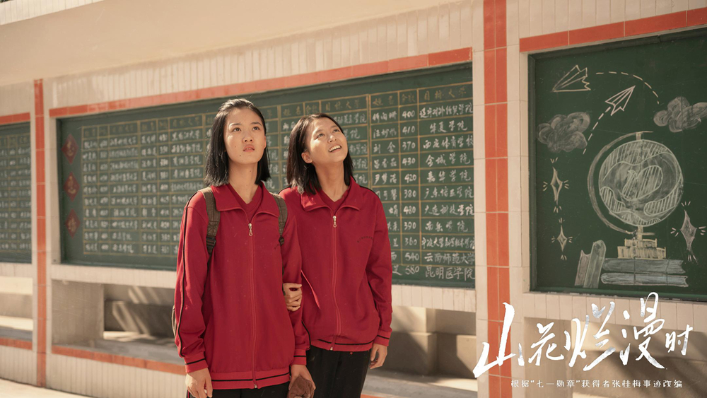 How to choose Magnolia Awards? Yin Hong: "Most of the explosive dramas ...