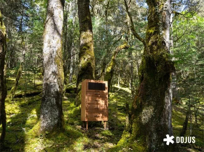 DOJUS resort furniture: make every return home a natural and nourishing ...