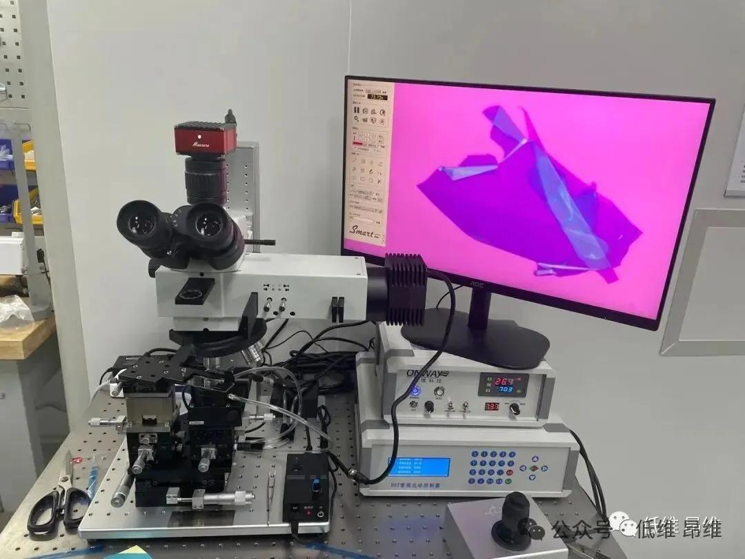 北理工課題組在二維電子關聯異質結界面演化研究中取得重要進展 - 頭條匯