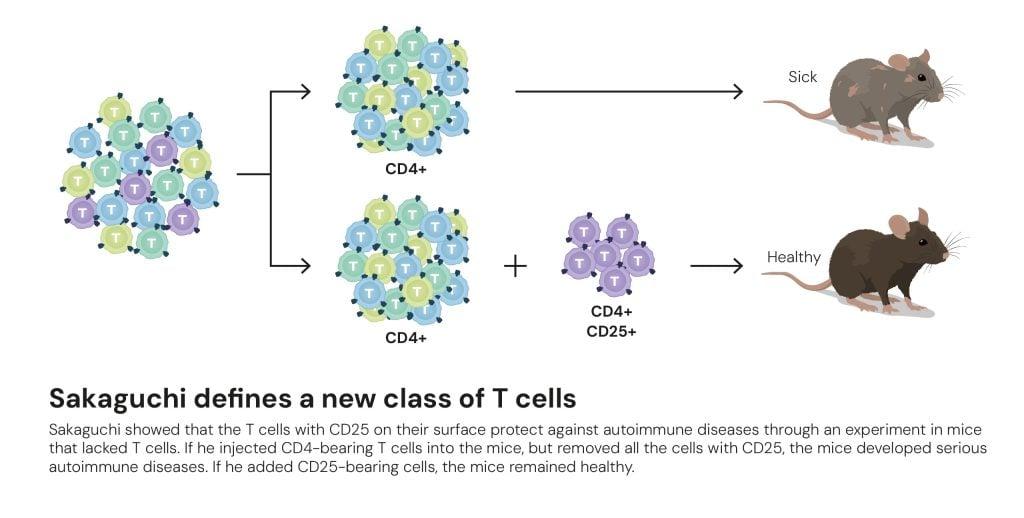 2025 Nobel Prize upset! Dropping out of school, going unpaid, and ...