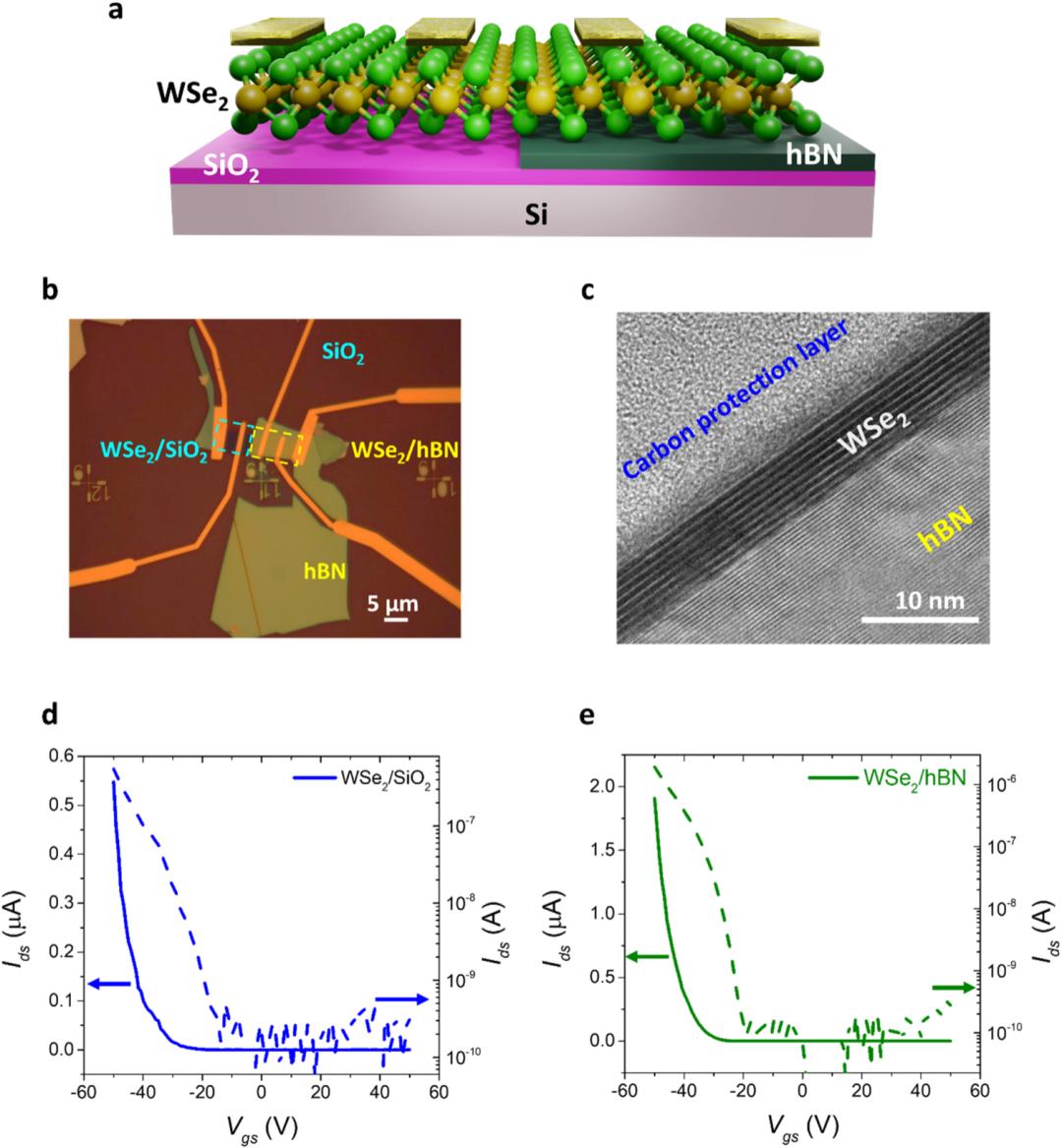 ACS Appl. Mater. Interfaces: Optically Programmable Smart WSe2/hBN ...