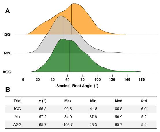 Haplotype-based analysis reveals the genetic secrets of barley radicle ...