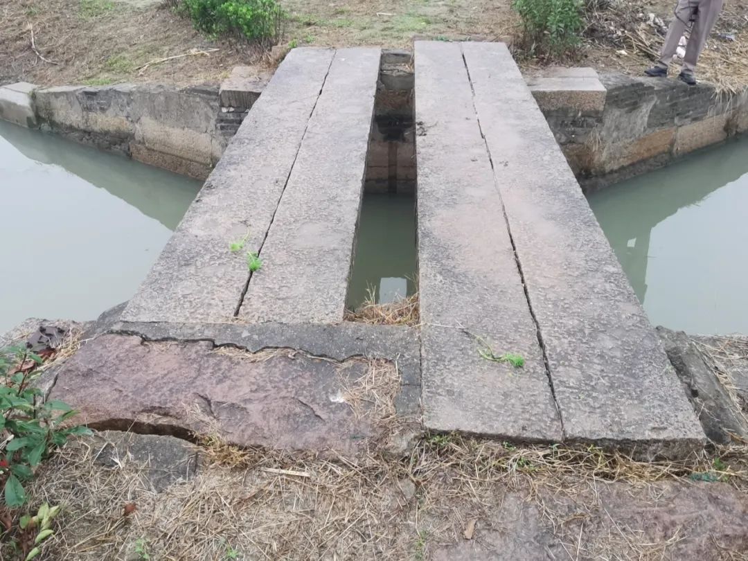 New discoveries of cultural relics in Xiancheng - iMedia