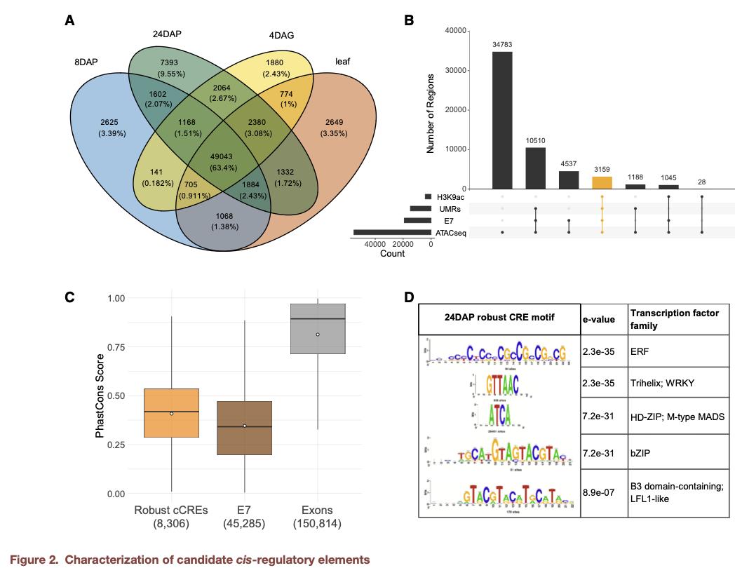 Barley epigenome and interactome maps reveal new rules of distal ...