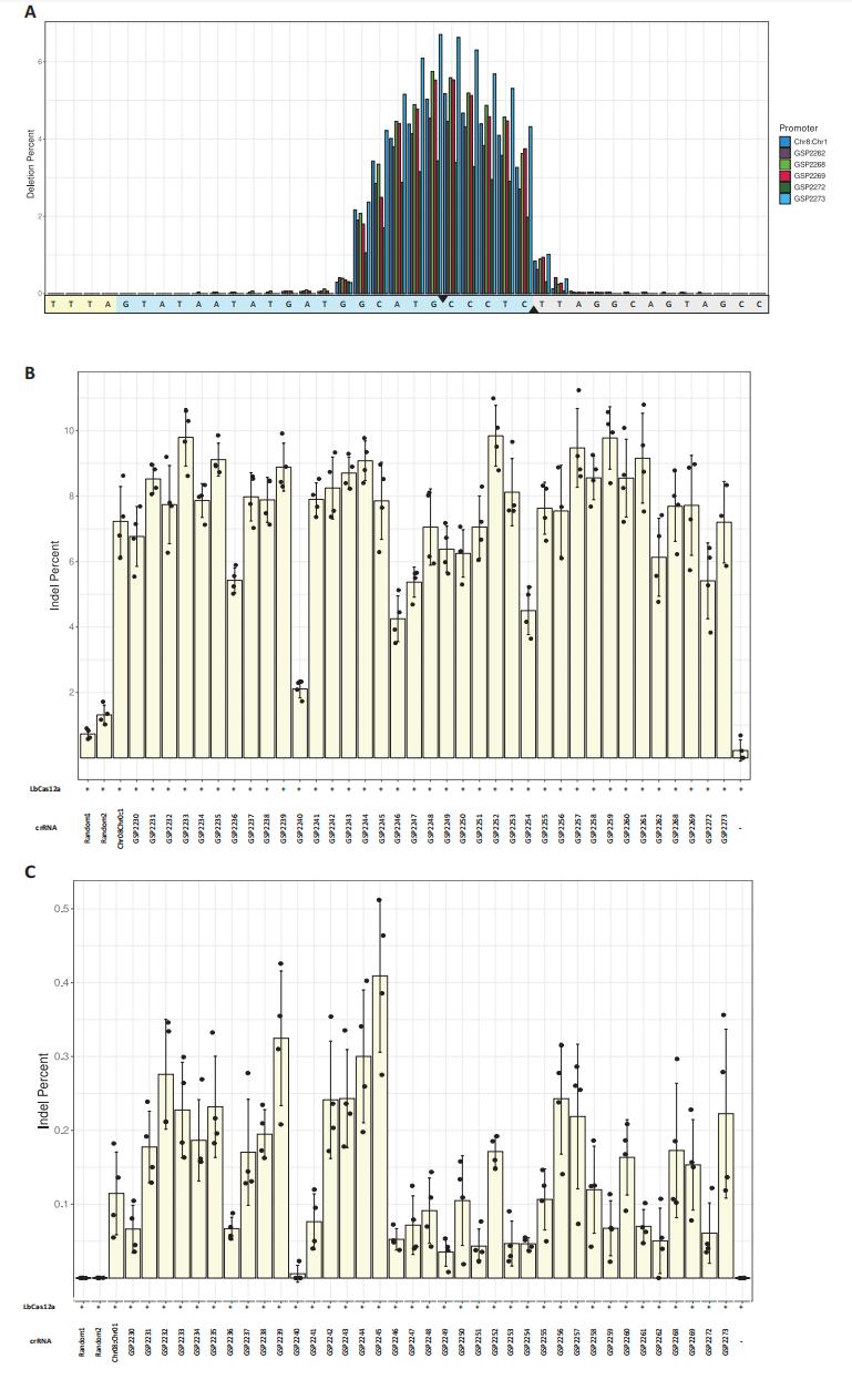 Front. Plant Sci.│Computationally derived RNA polymerase III promoter ...