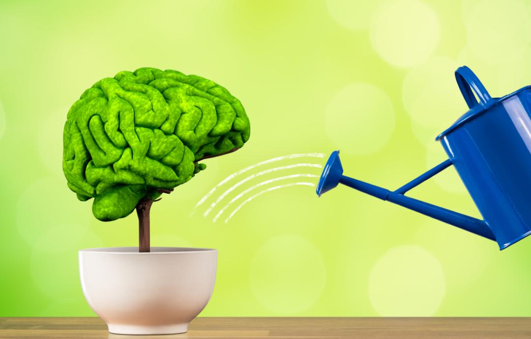 Spring sleepiness: the brain's "little temper" in spring - iMedia