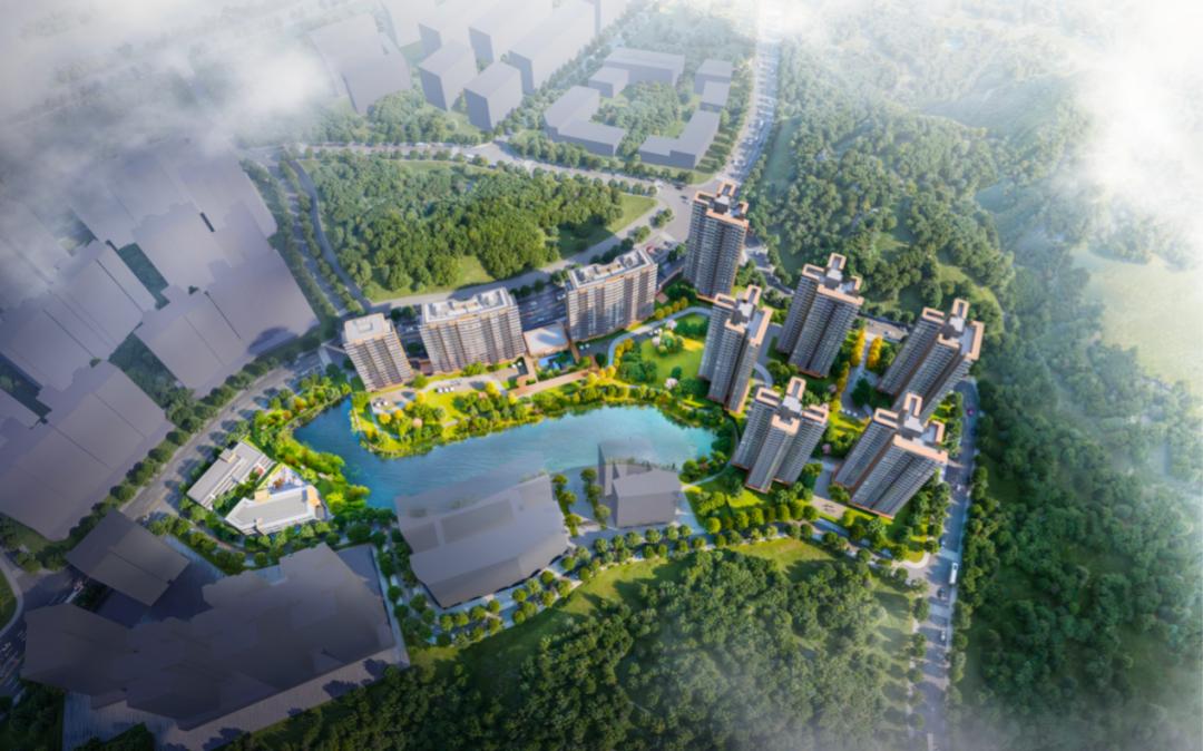 The Mystery of Poly Area - iMedia