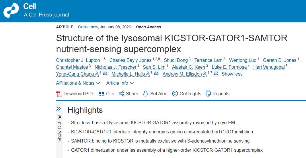 溶酶體上的「營養感知航母」：KICSTOR-GATOR1-SAMTOR超級複合物結構全解析 - 頭條匯