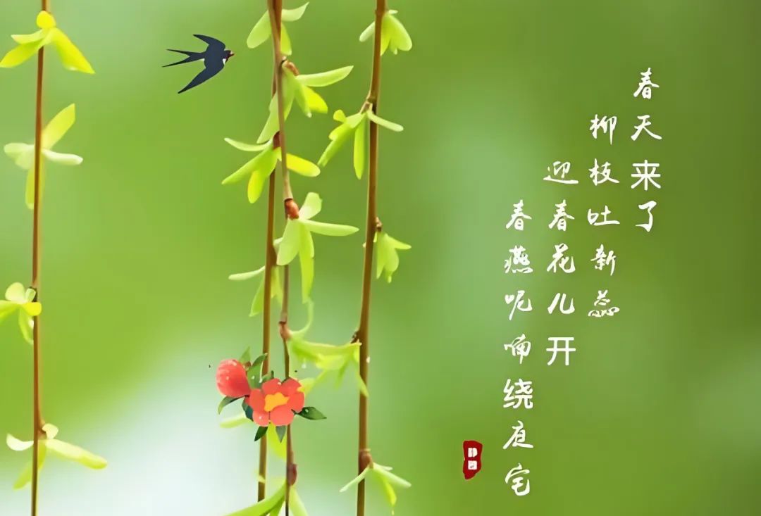 Spring sleepiness: the brain's "little temper" in spring - iMedia