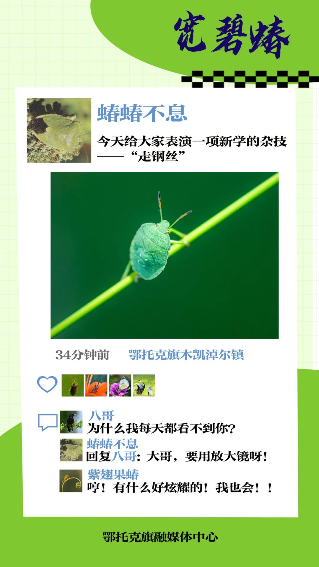 If animals and plants could post on WeChat Moments...what secrets are ...