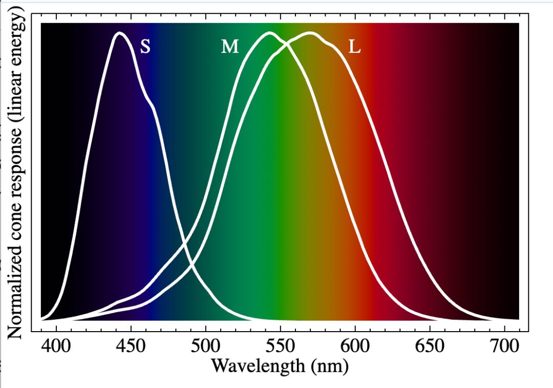 There is a color that has never been seen by humans and that most ...