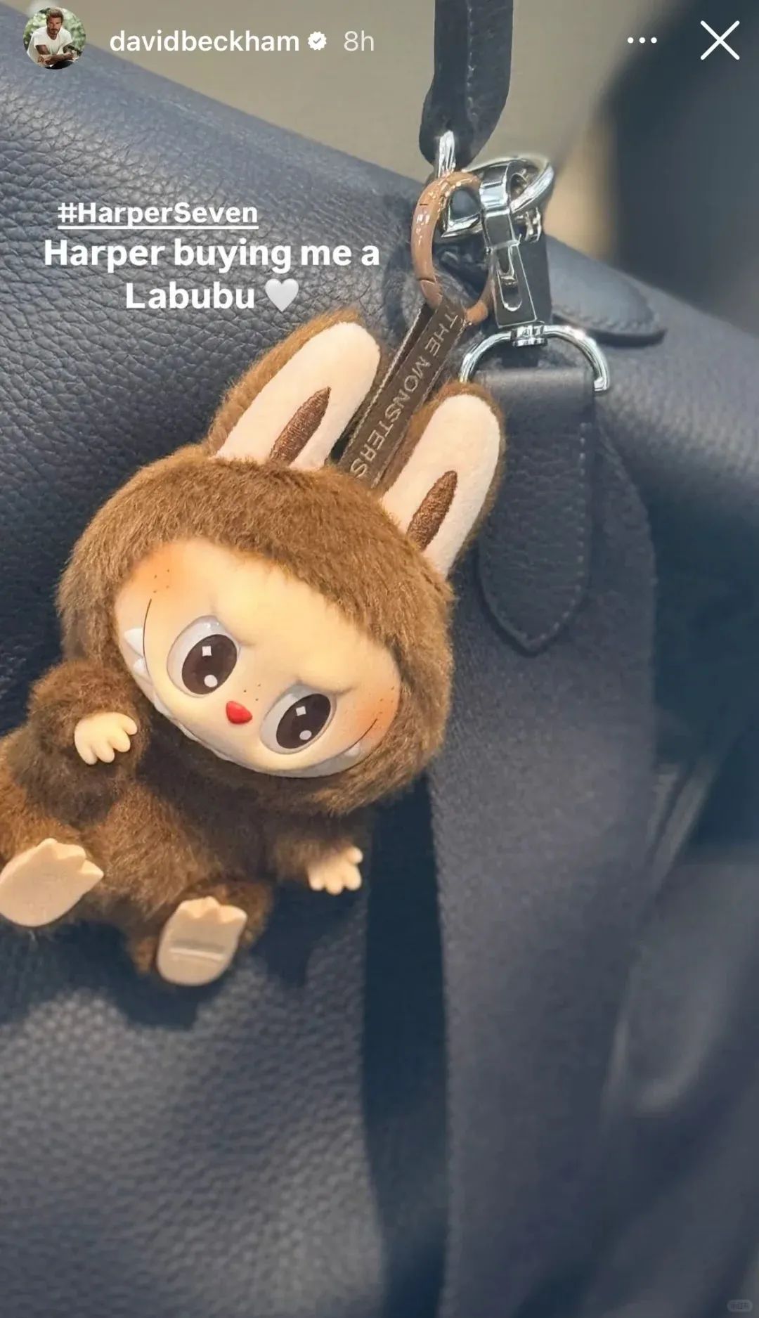 Even Beckham is crazy about it, Labubu is going crazy all over the ...