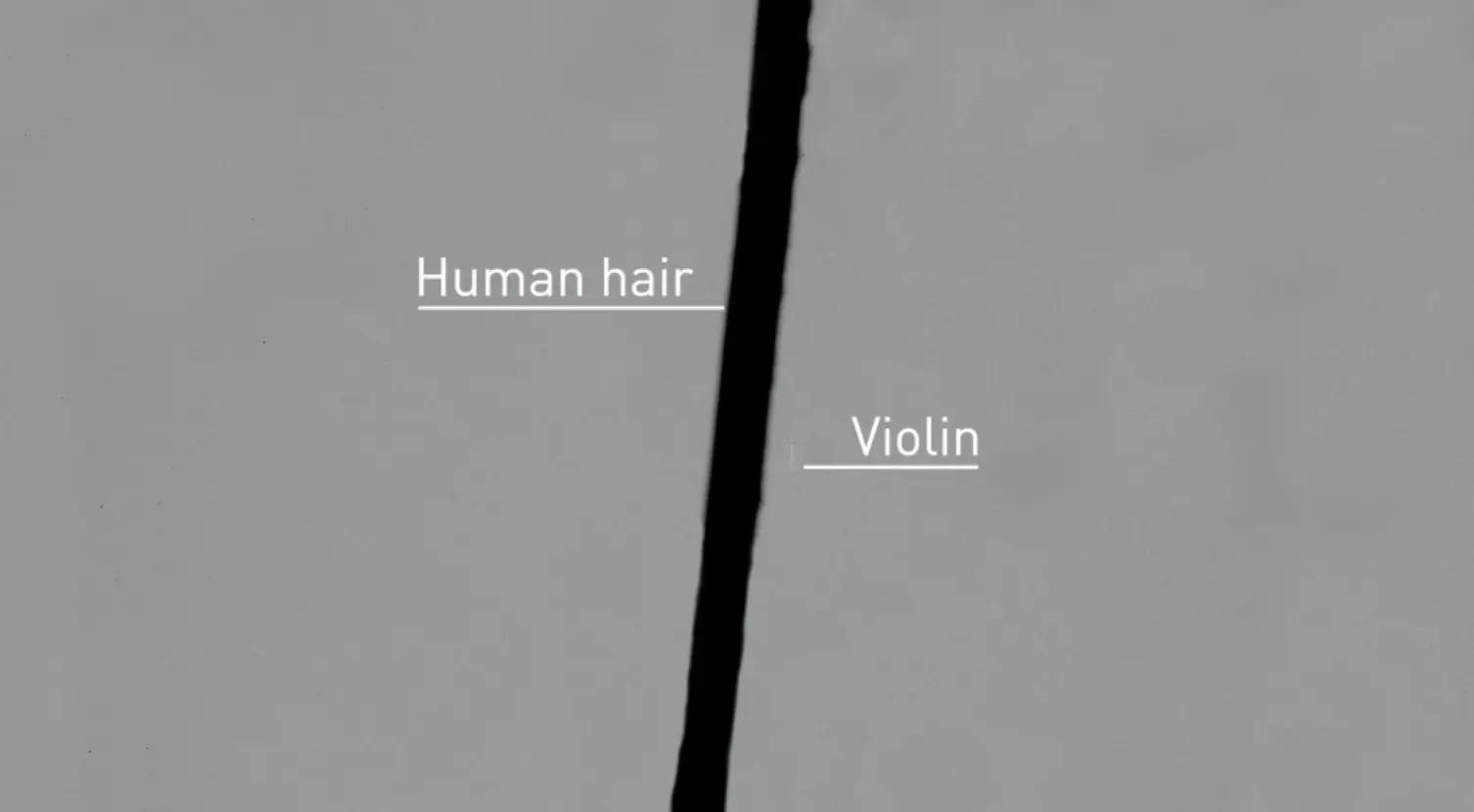 The world's smallest violin can easily fit into a strand of hair - iMedia