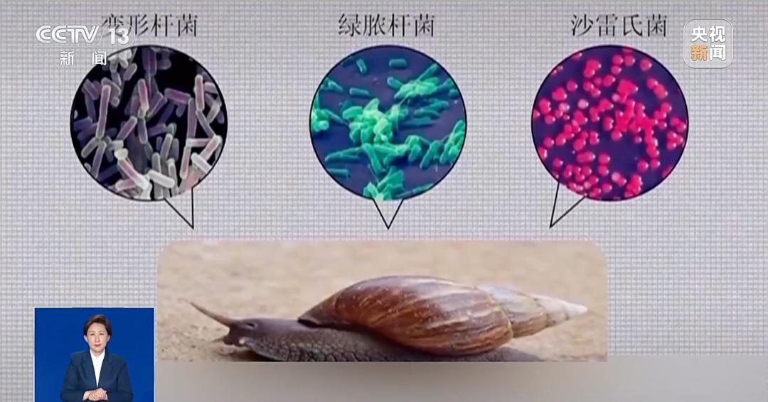 It is appearing in large numbers! Some people have a persistent high ...