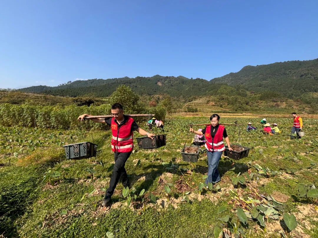 Datian Village in Rongshui embarks on a road to rural prosperity - iMedia