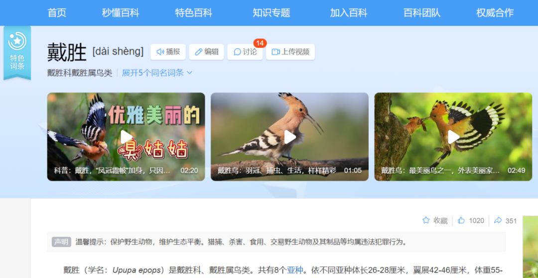 Flying guests are here! Bird protection "visits" the police camp - iMedia