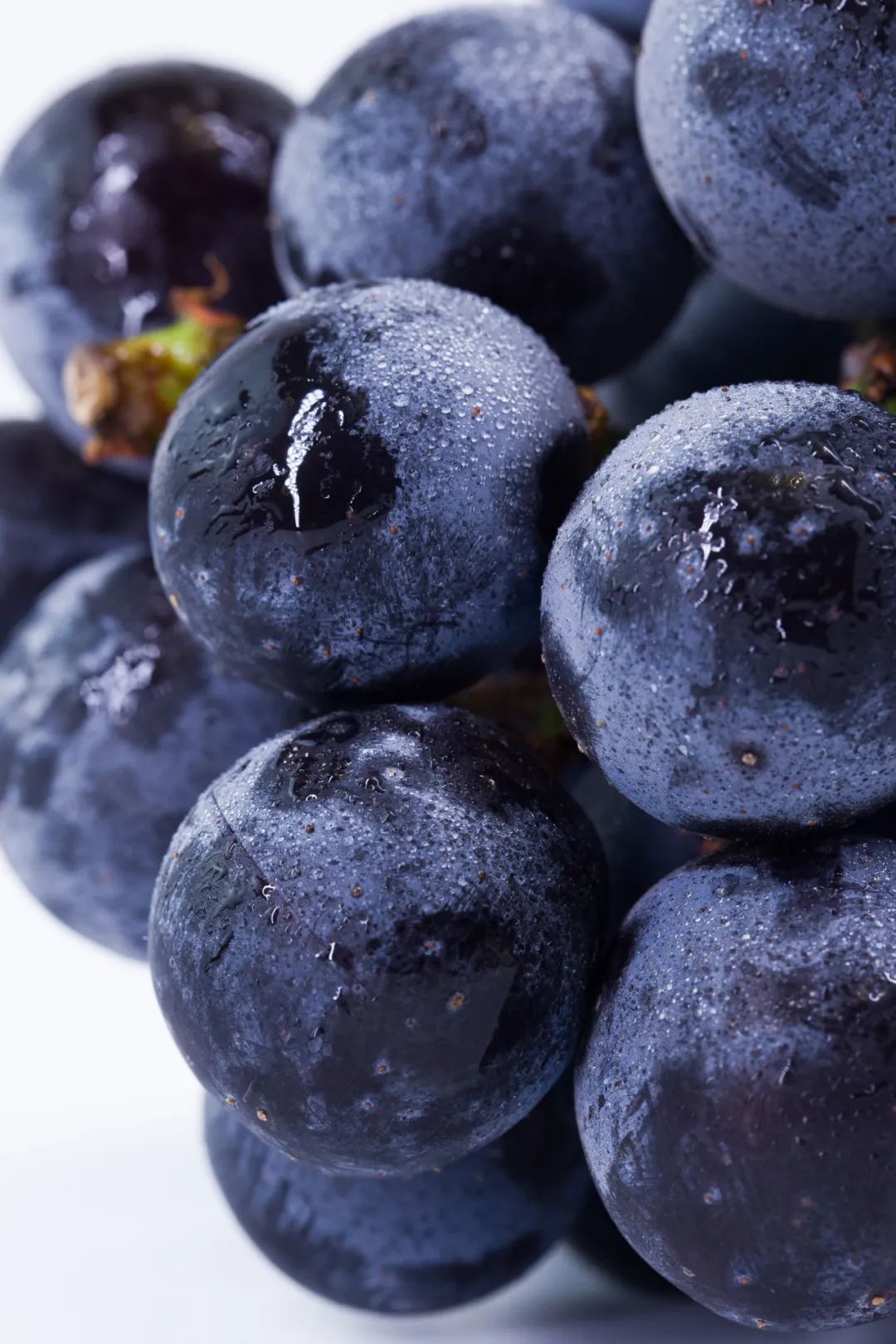 How do we define the "good" of good tea? - iMedia