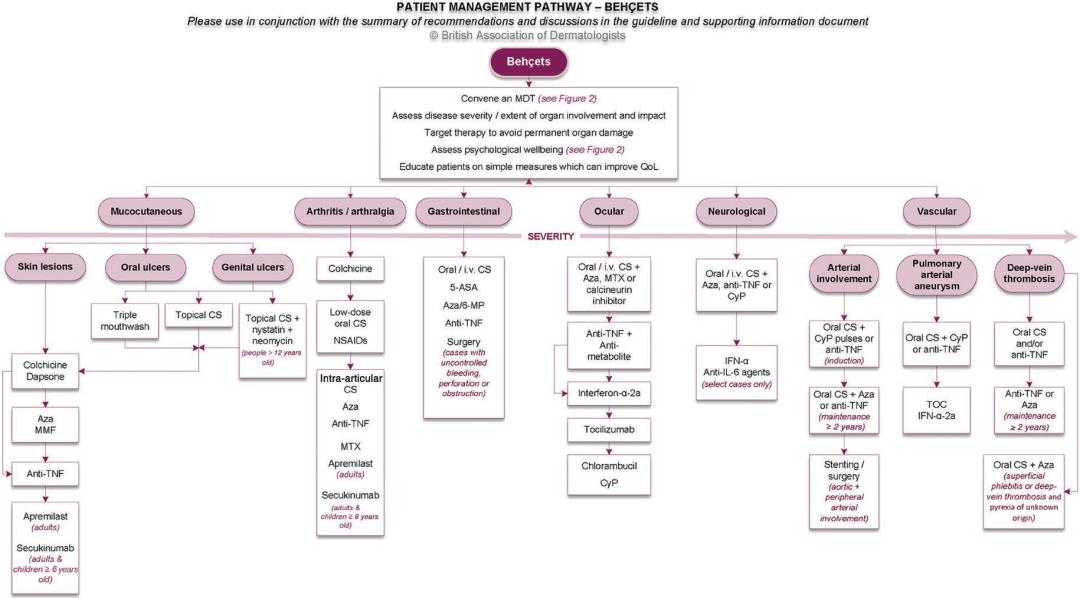 Interpretation of the Management Guidelines for Behcet's Disease ...